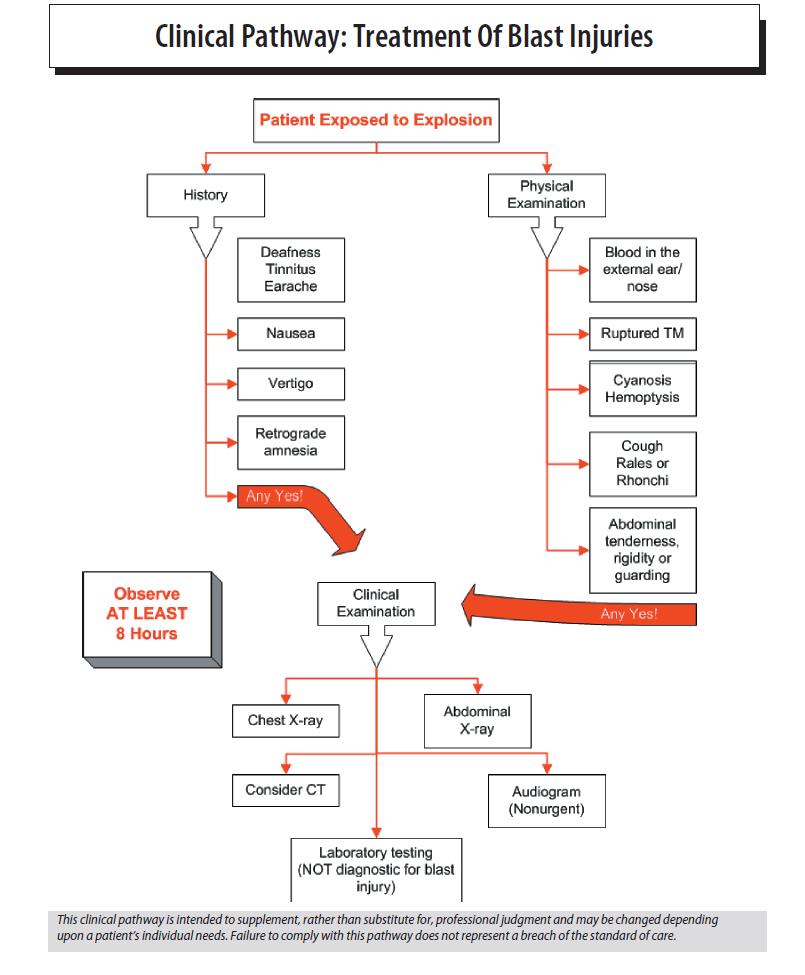Blast Injuries: Preparing for the Inevitable